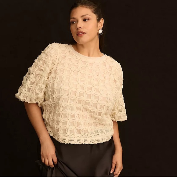 Anthropologie | Tops | Anthropologie Sarah Hann Textured Ruffle Top | Poshmark